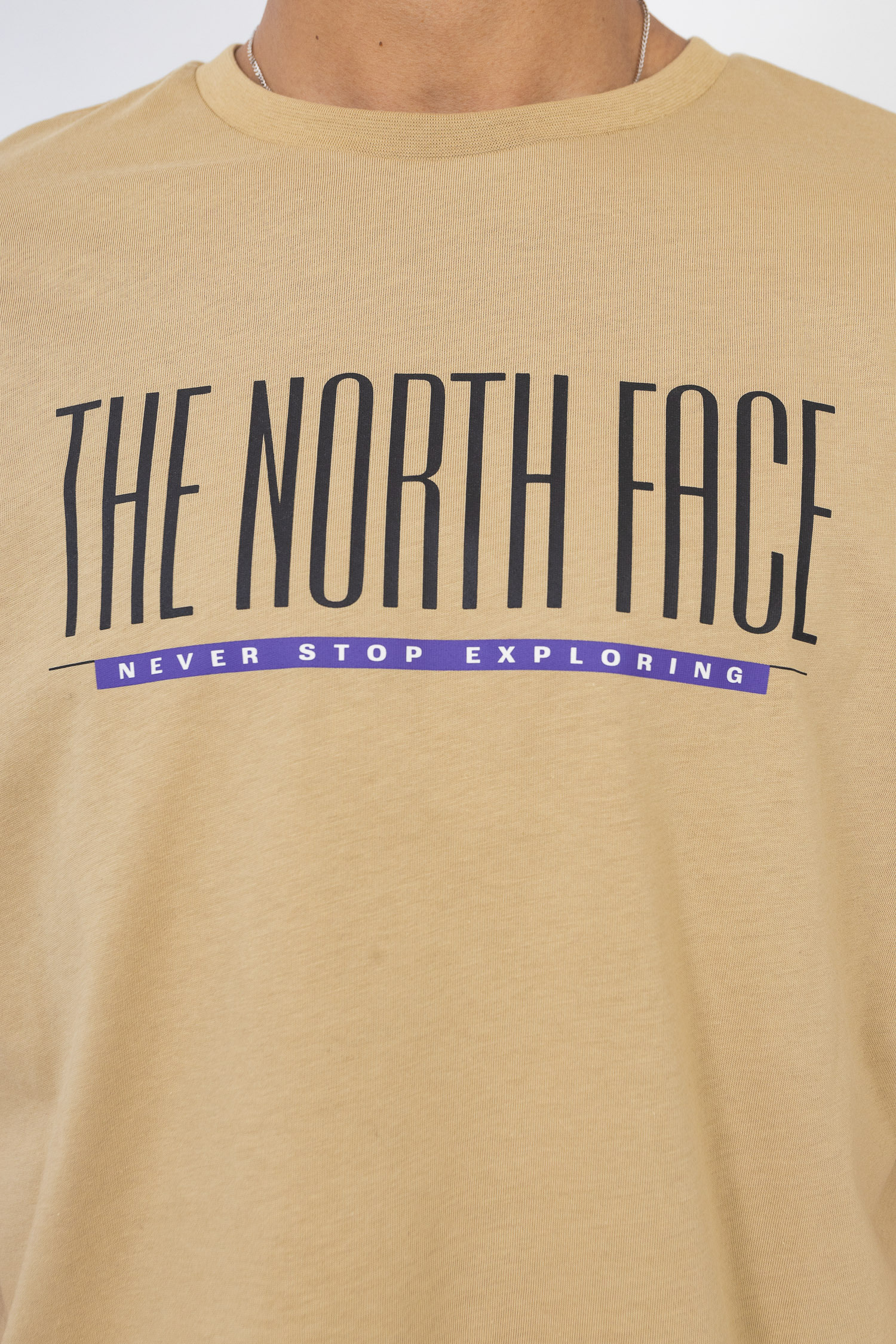 The North Face TNF Est 1966 T-shirt Khaki Stone NF0A87E7LK51
