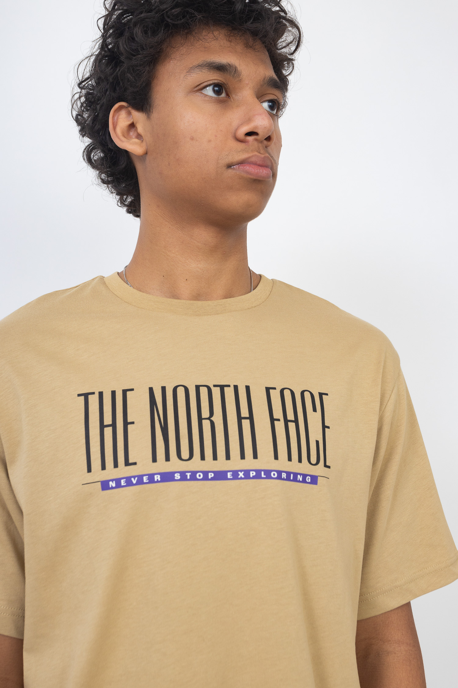 The North Face TNF Est 1966 T-shirt Khaki Stone NF0A87E7LK51