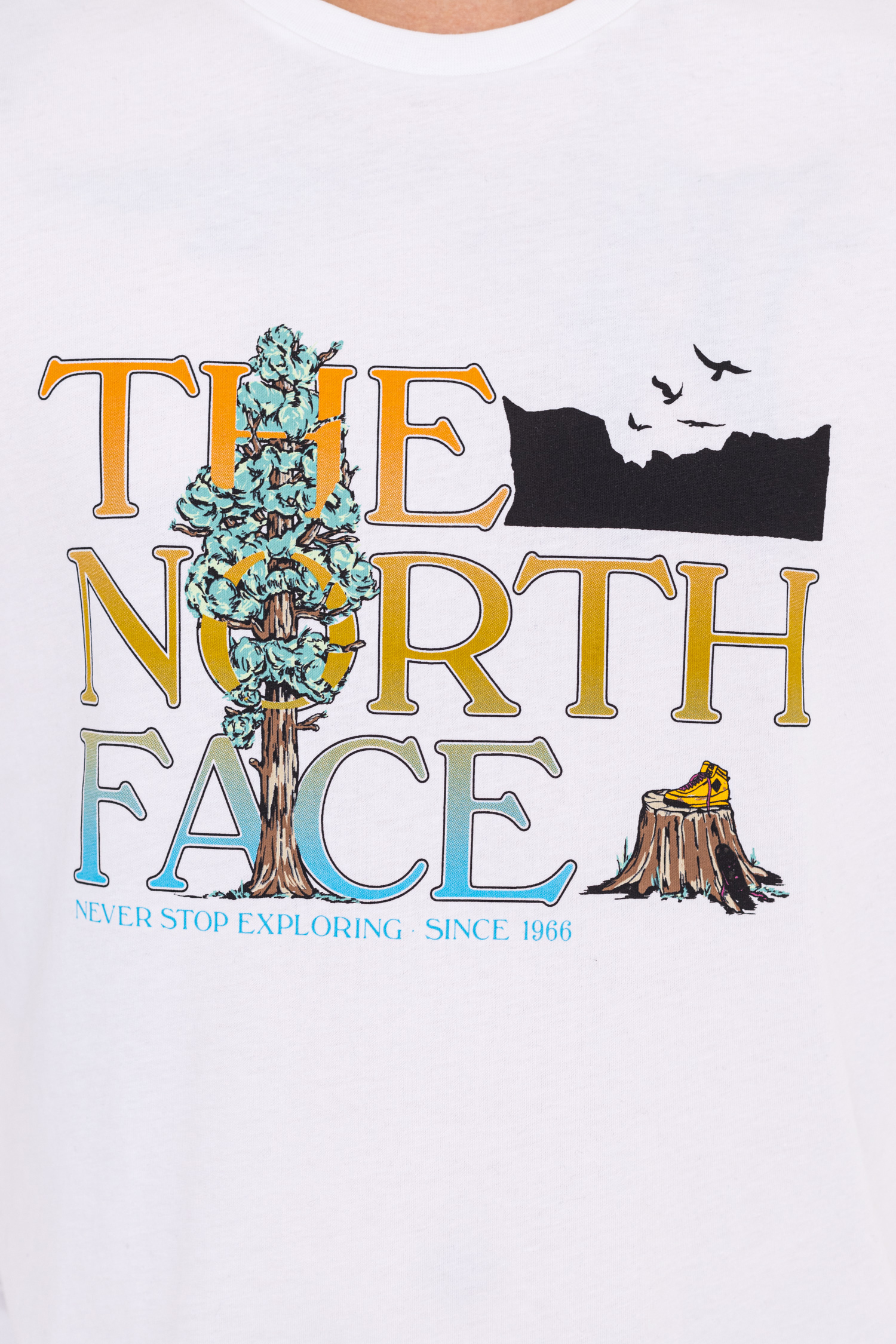 The North Face Graphic T-shirt White NF0A7X1OFN4