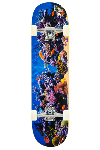 Mini Logo Fish Tank Skateboards Multicolor