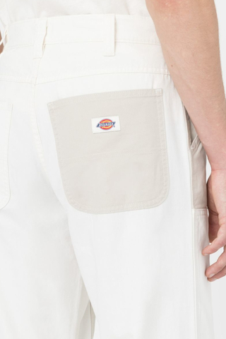 Dickies Eddyville Double Knee Pants Assorted DK0A4Y78AS01