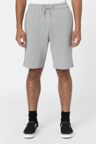 Dickies Mapleton Shorts Grey DK0A4Y83GYM1 Grey