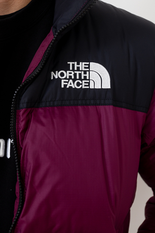 Kurtka Zimowa Dziecięca The North Face 1996 Retro Nuptse Purple ...