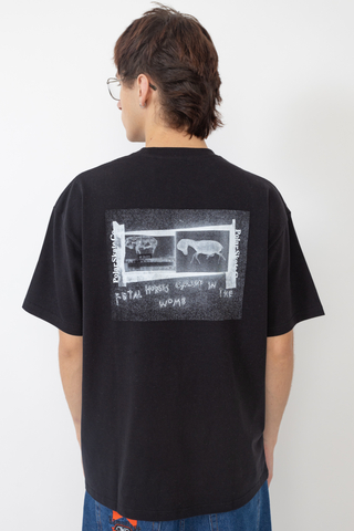 Koszulka T-shirt Polar Beautiful Horses Black PSC-W23-4